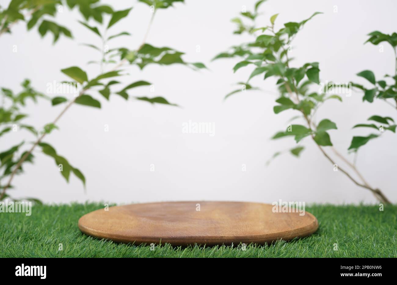 Wood podium on grass with tree branch green leaf white space background ...