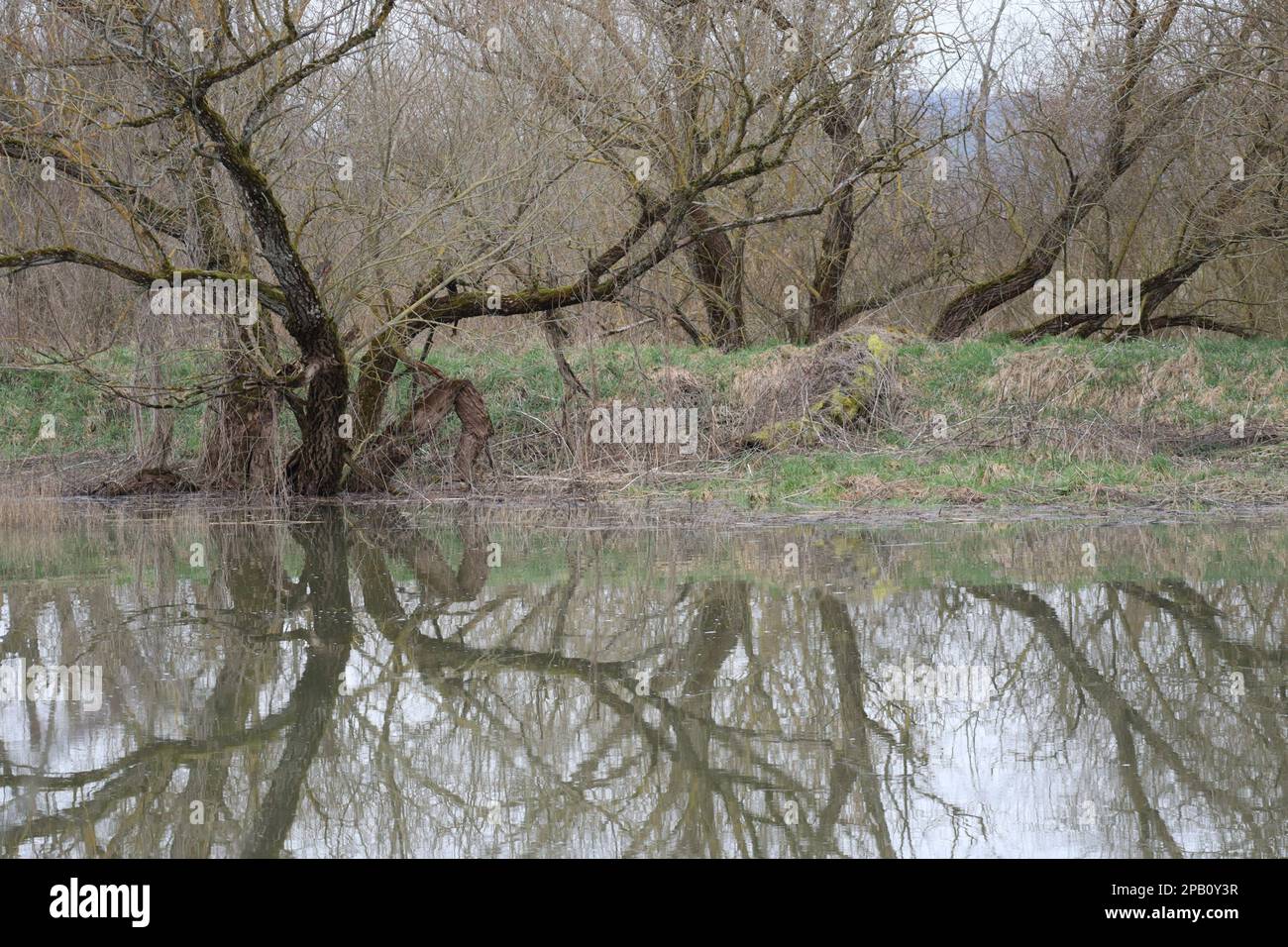 already receding Flood water Stock Photo - Alamy