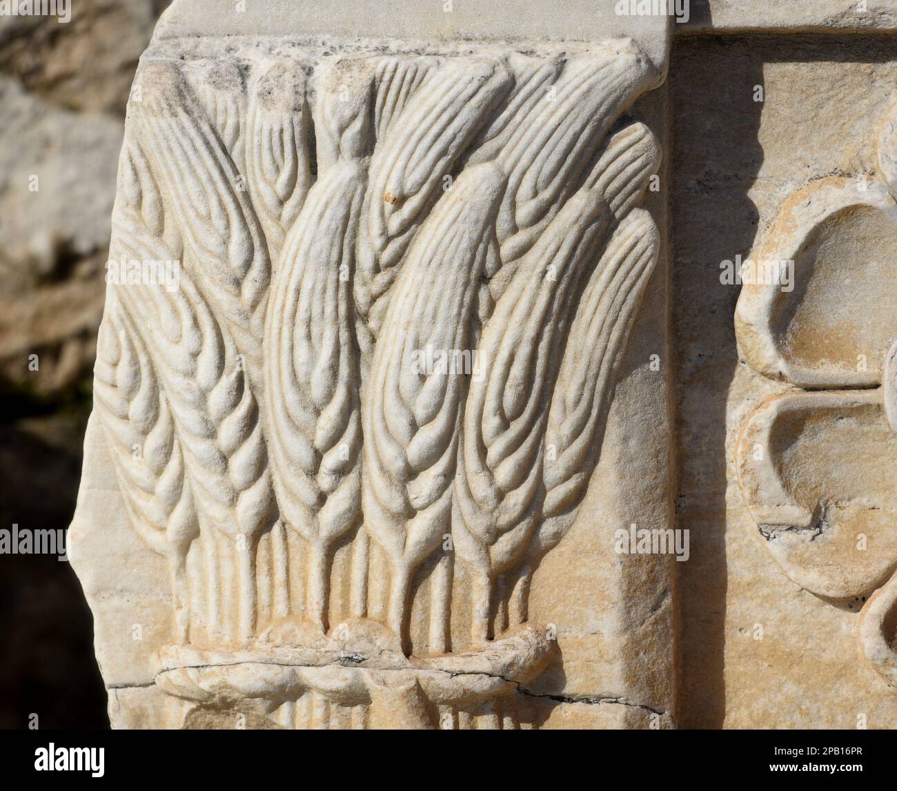 Ancient marble sculpted flower rosette and triune wheat at the ...