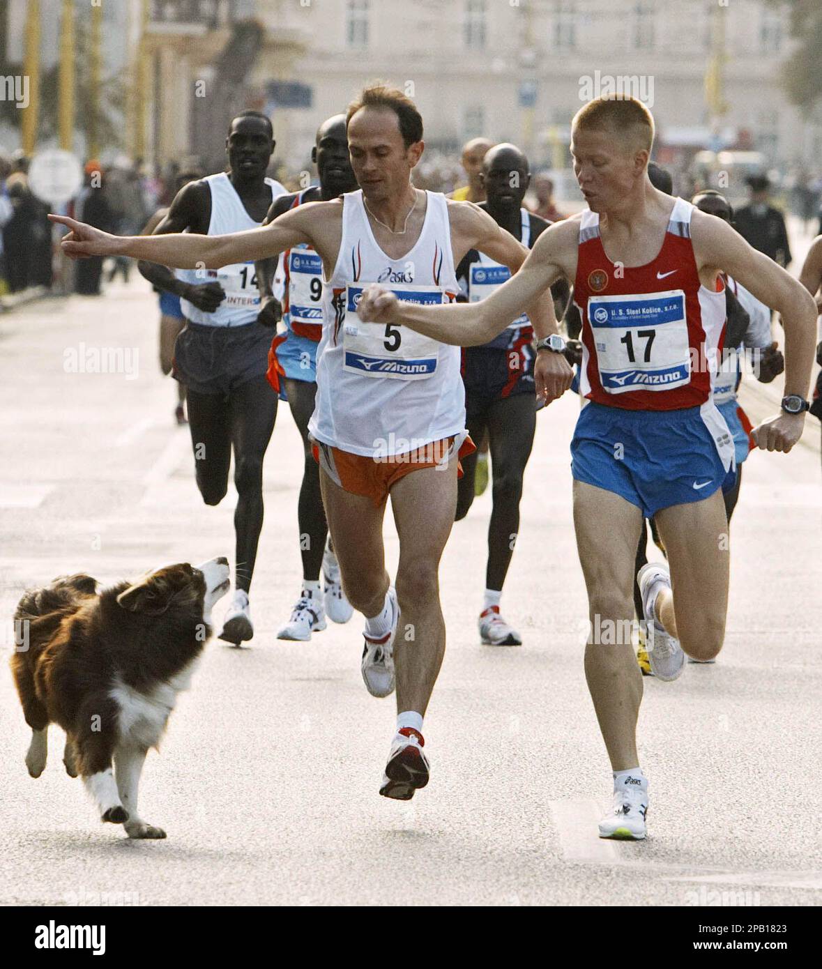 **RECROPPED VERSION**Two pacemakers try to drive away an errant dog ...