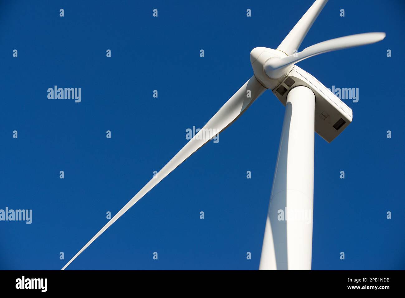 Wind turbine generator for sustainable electrical energy production ...