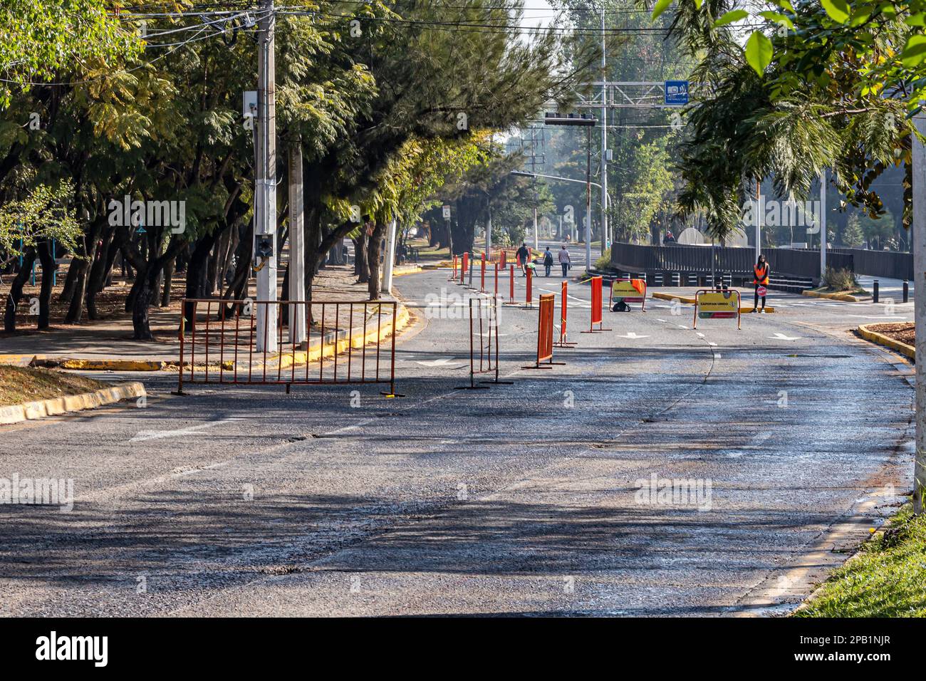 Zapopan, Jalisco Mexico. January 1, 2023. Paved street between trees ...