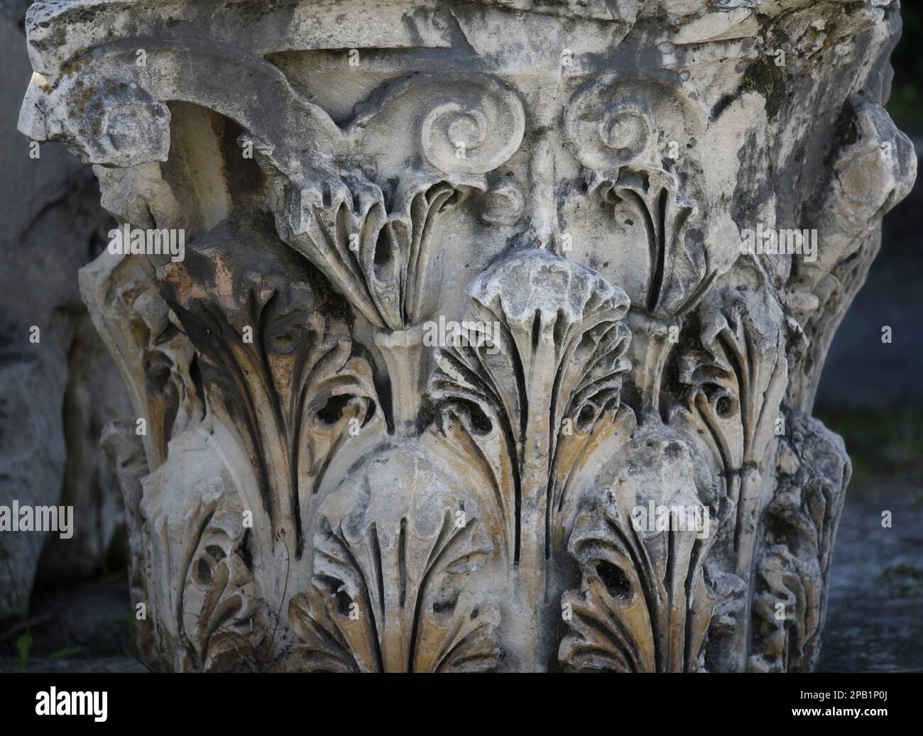Ancient Corinthian order capital of the outer colonnaded portico along ...