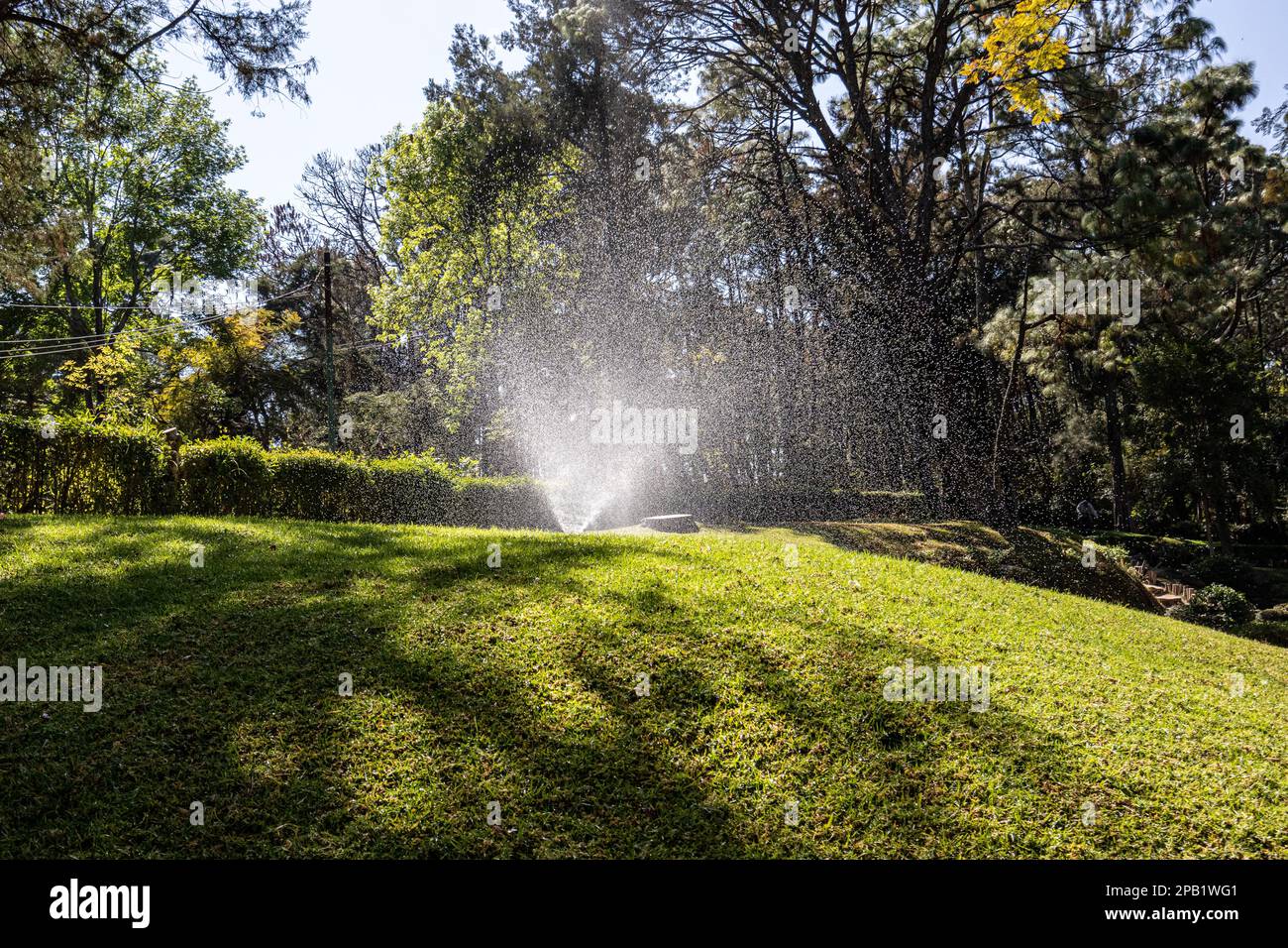 Water gushing from a sprinkler irrigation system on green grass in a ...