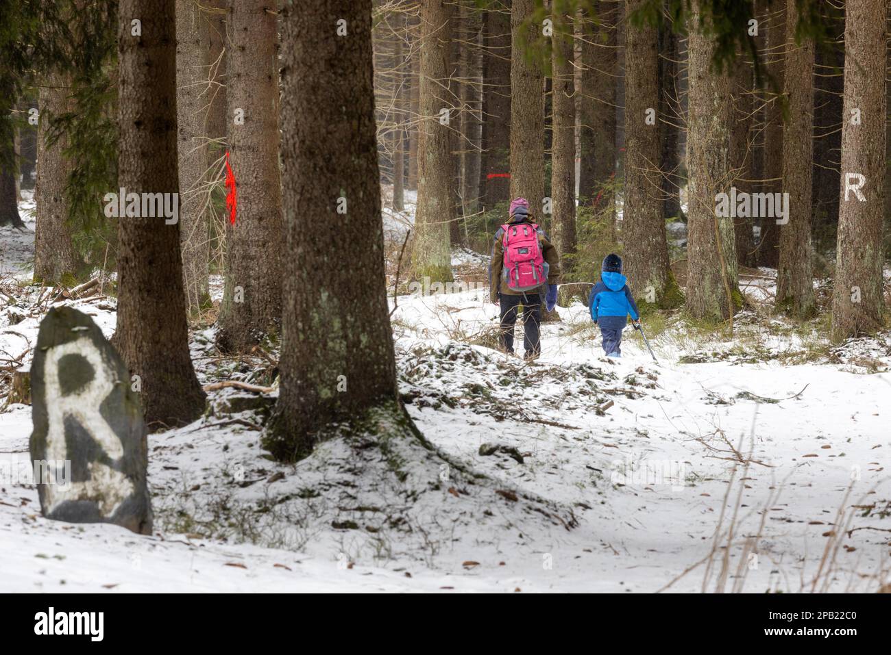 Neuhaus Am Rennweg, Germany. 12th Mar, 2023. Hikers walk through the ...