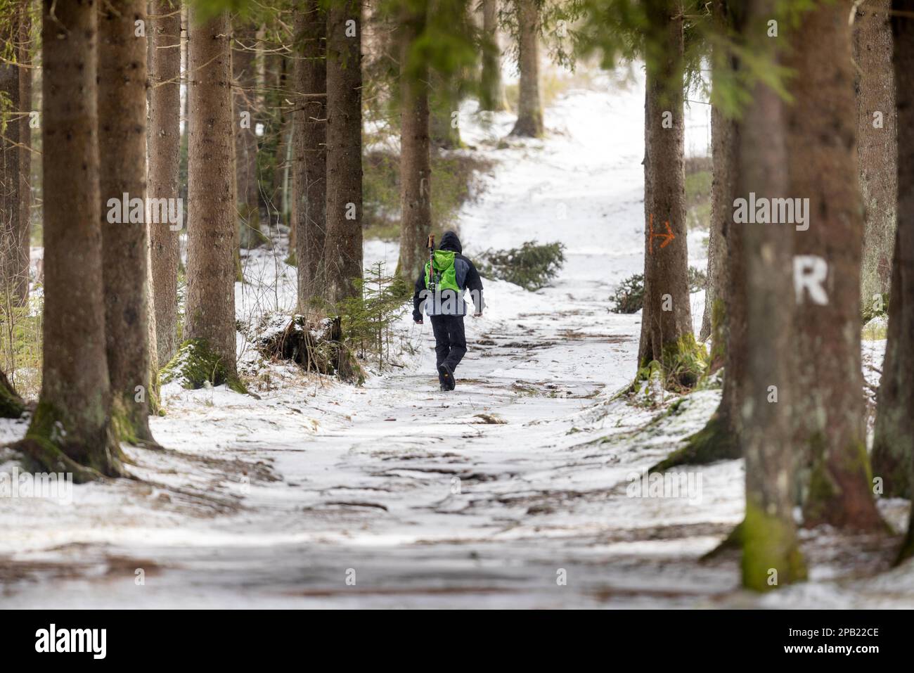 Neuhaus Am Rennweg, Germany. 12th Mar, 2023. A hiker walks through the ...