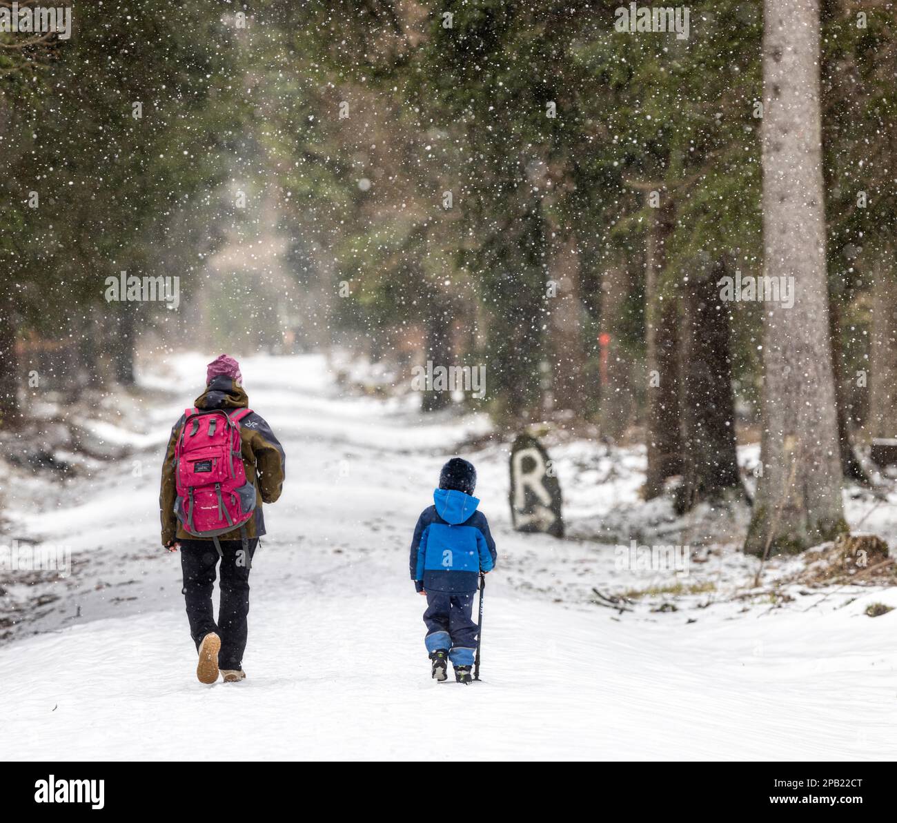 Neuhaus Am Rennweg, Germany. 12th Mar, 2023. Hikers walk through the ...