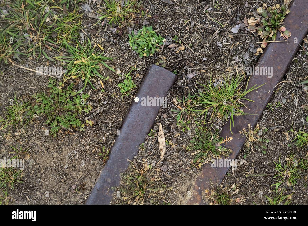 Ground close up perspective hi-res stock photography and images - Alamy