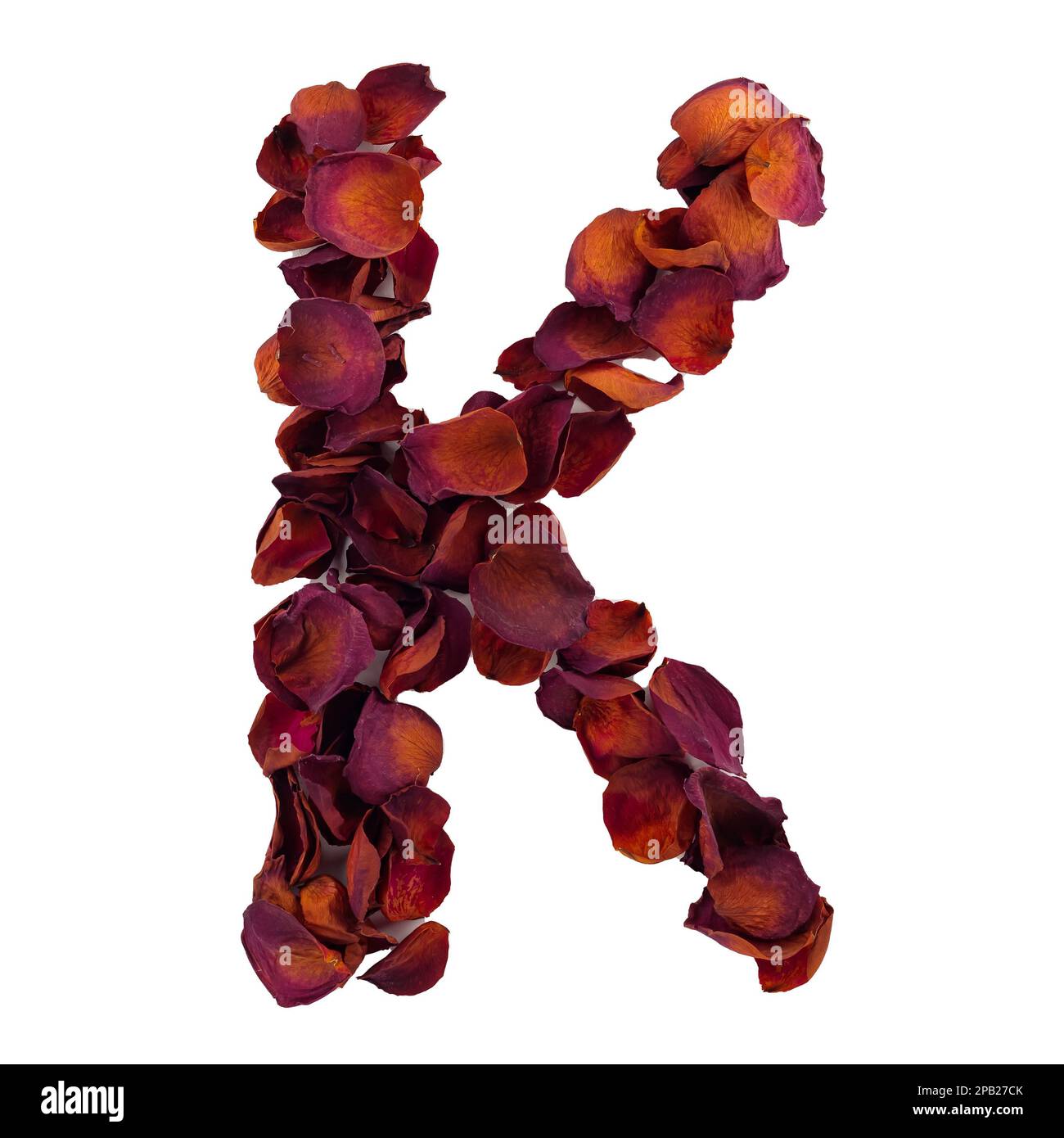 Letter K from dry red rose petals, isolated on white background. Nature ...