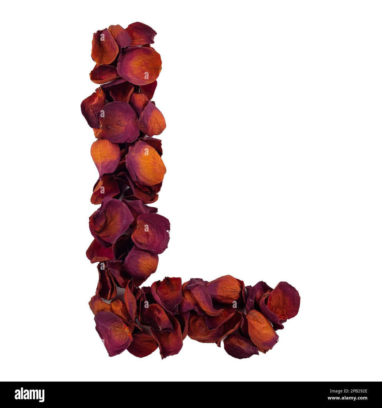 Letter L from dry red rose petals, isolated on white background. Nature ...