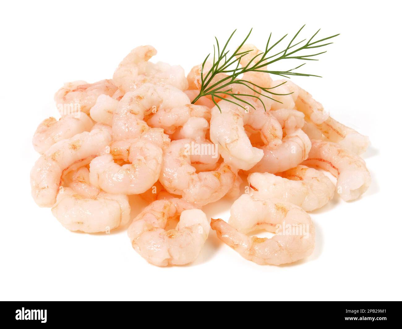 Small shrimp hi-res stock photography and images - Alamy