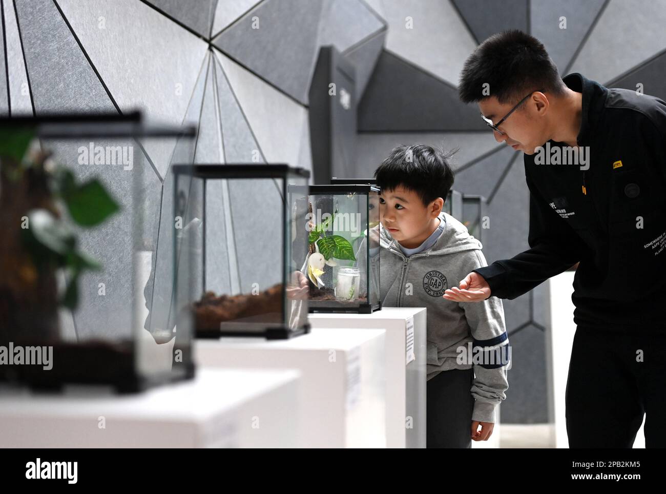 (230312) -- TIANJIN, March 12, 2023 (Xinhua) -- A child learns about ...