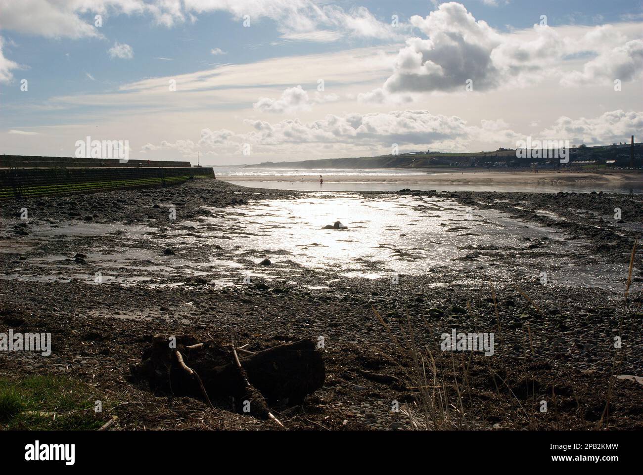 Tweed estuary at Berwick upon Tweed in winters sun Stock Photo - Alamy