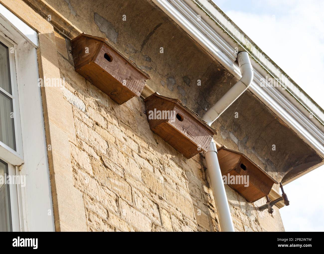 Swift nest boxes on a house, UK Stock Photo - Alamy