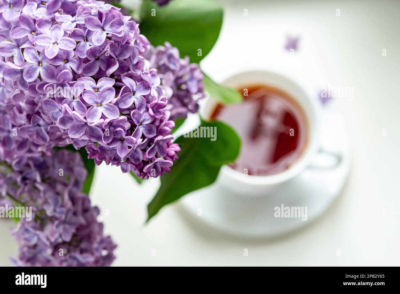 Home interior with a bouquet of blooming lilac flowers on the window ...