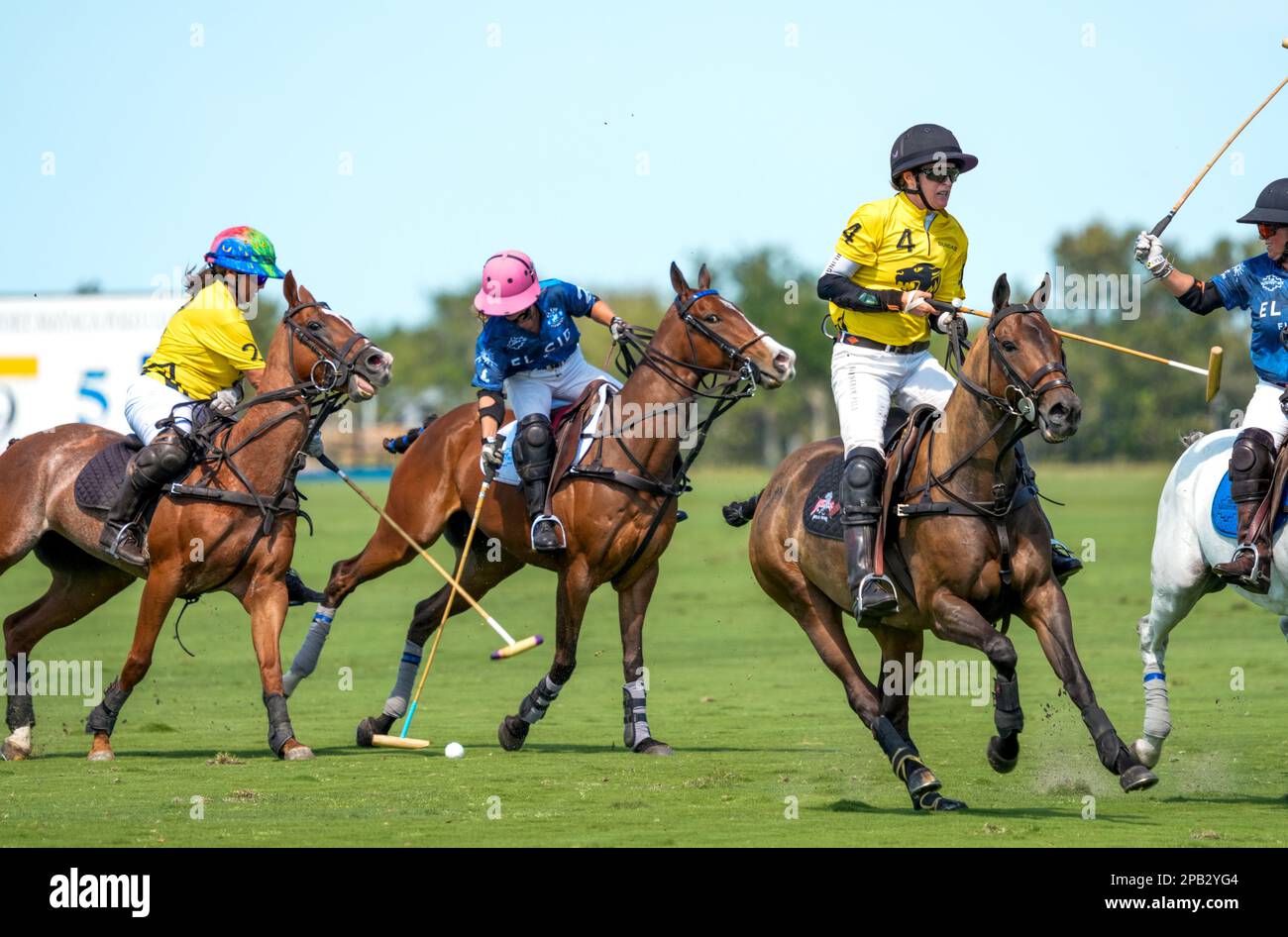 Dundas polo team hi-res stock photography and images - Alamy