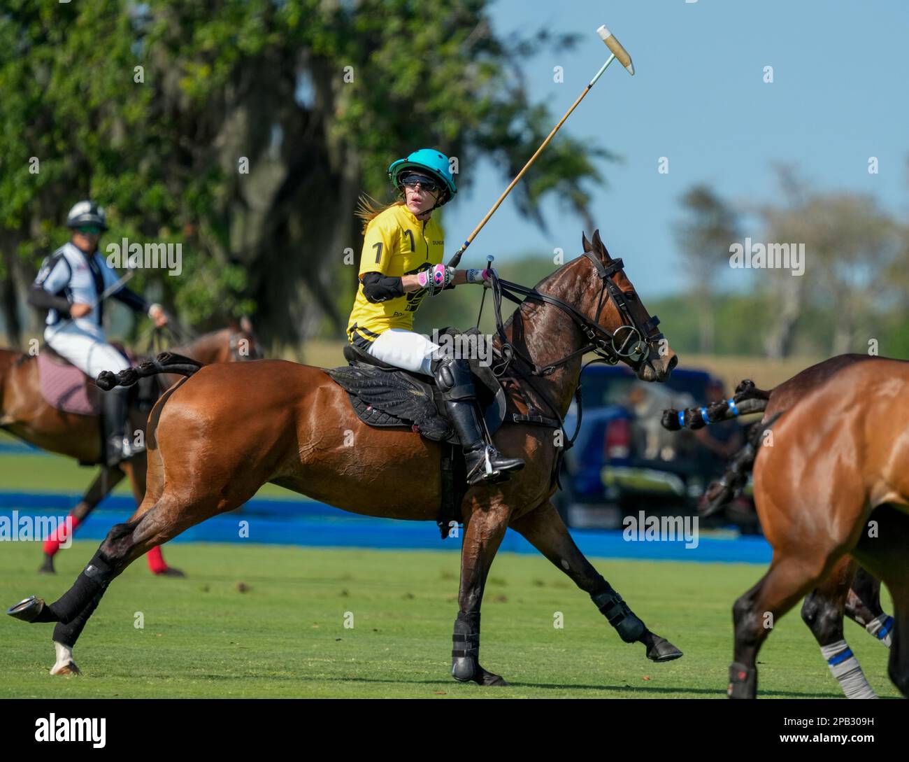 3/10/23 Port Mayaca, Florida Sarah Siegel Magness DUNDAS VS EL CID ...
