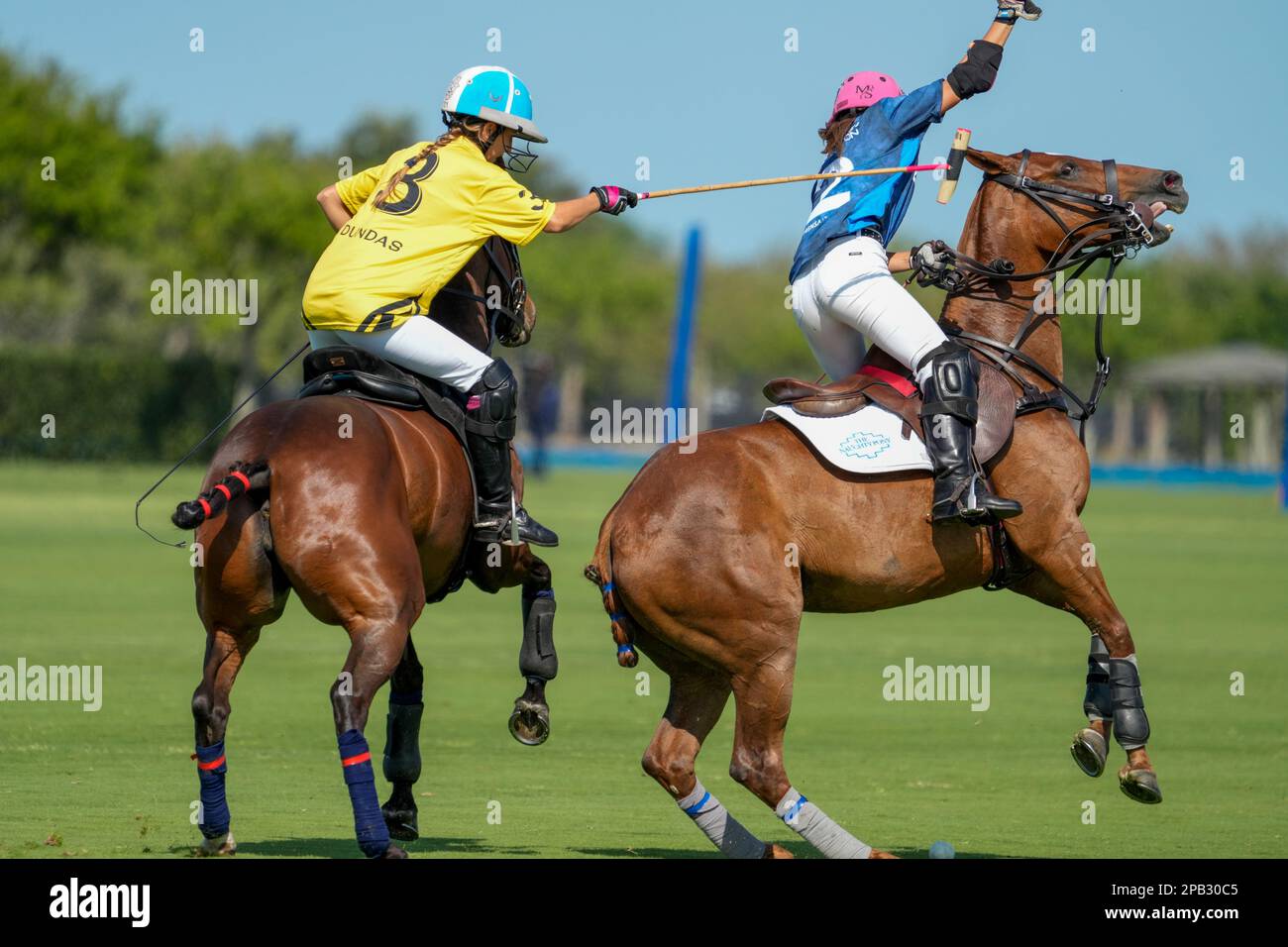 3/10/23 Port Mayaca, Florida Mia Cambaiso rides for Dundas during the ...