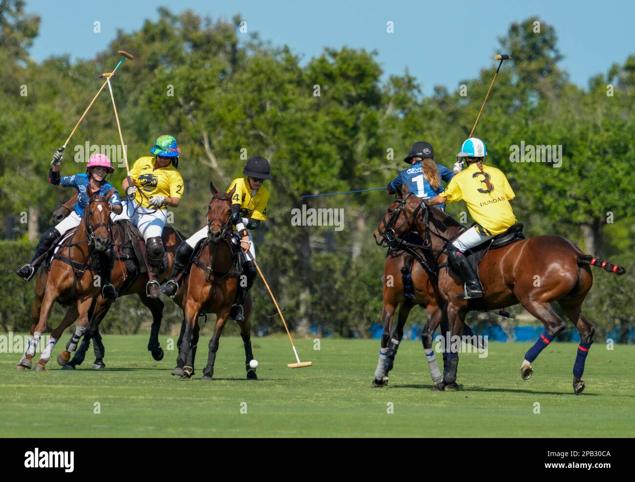 Dundas polo team hi-res stock photography and images - Alamy