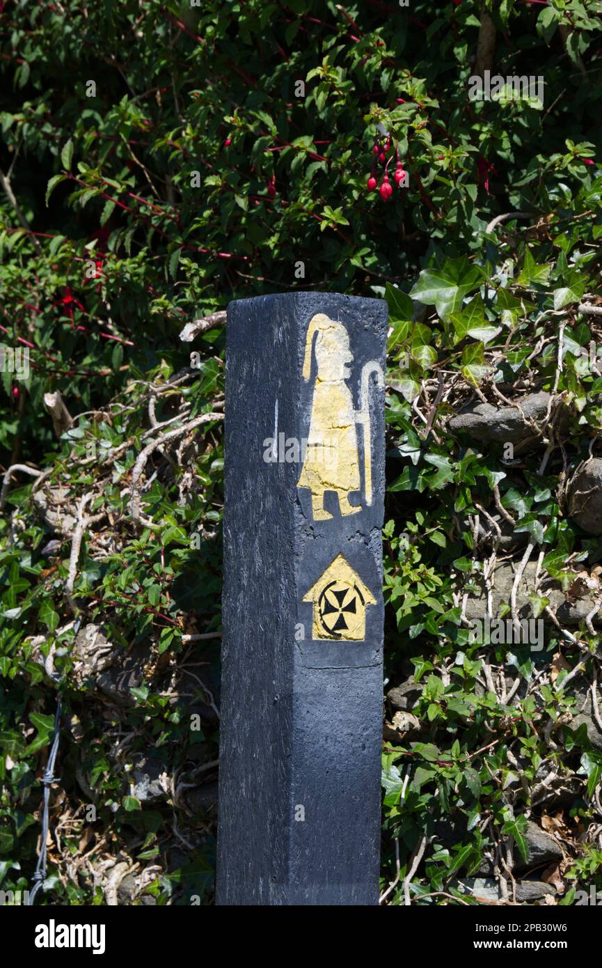 Marker sign for Pilgrim's Way or Pilgrim's path with wild fuchsia and ...