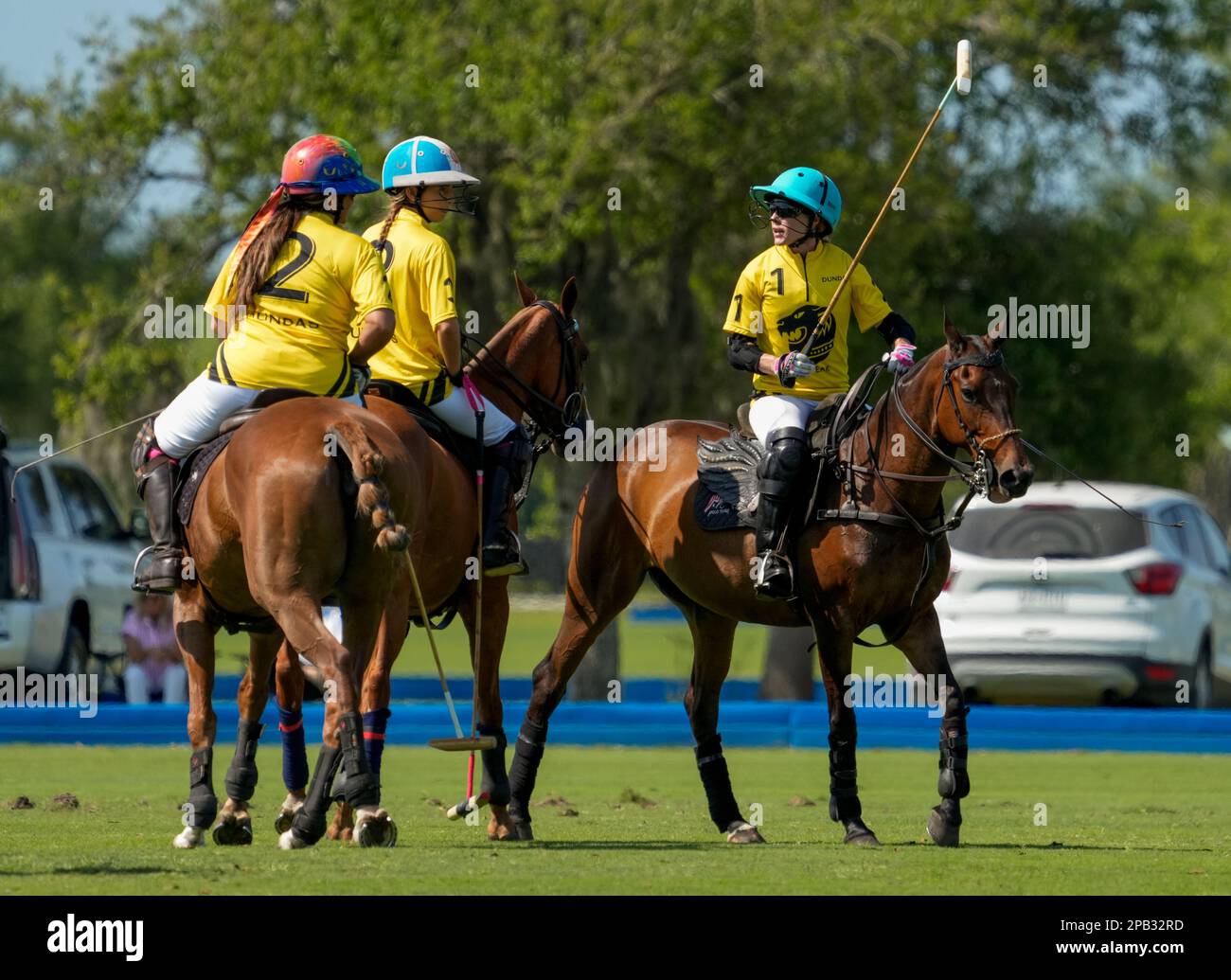 Erica gandomcar hi-res stock photography and images - Alamy