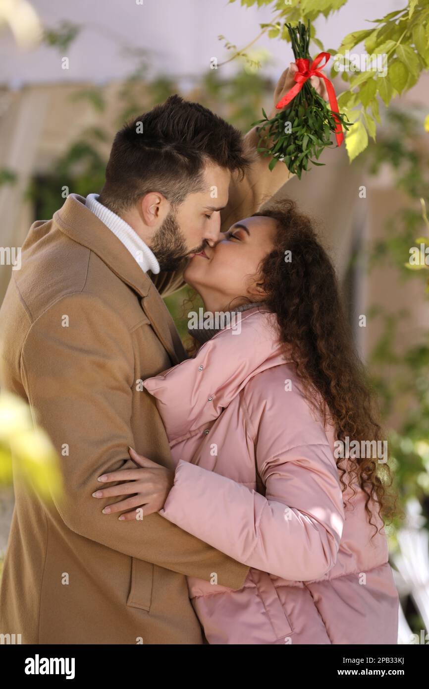 African mistletoe hi-res stock photography and images - Alamy