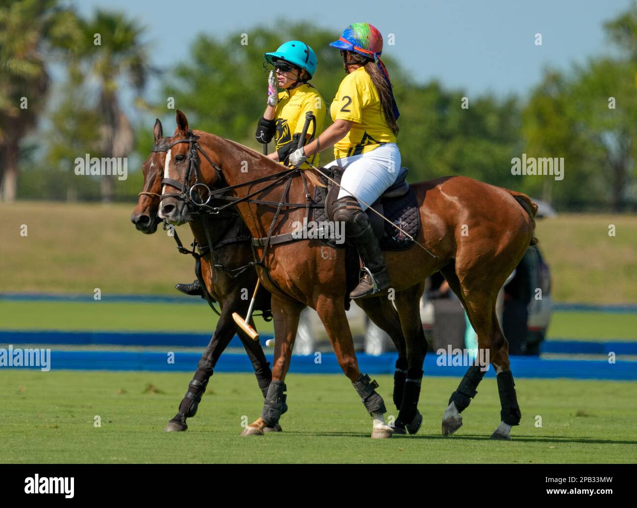 Dundas polo team hi-res stock photography and images - Alamy