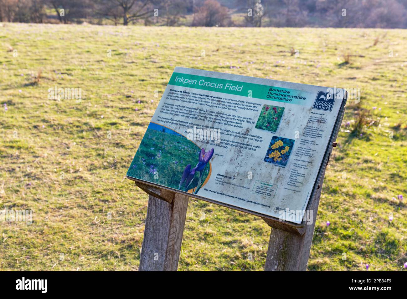 Information board at Inkpen Crocus Field, a BBOWT nature reserve in ...