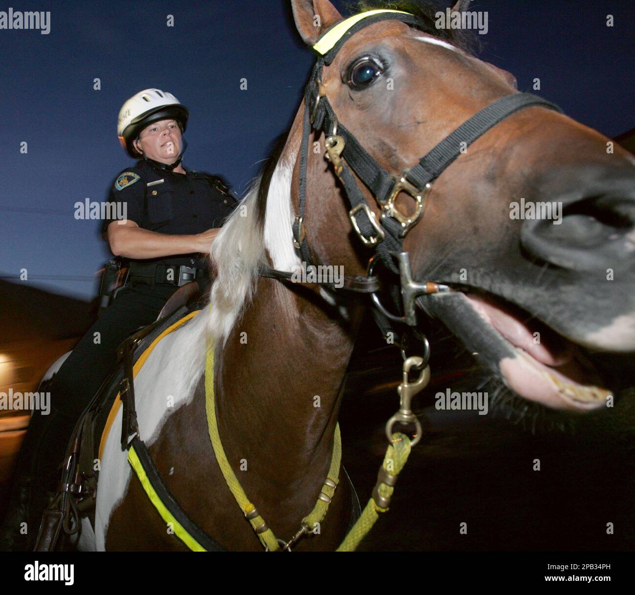 ** ADVANCE FOR WEEKEND EDITIONS, SEPT. 22-23 ** Missy, a police horse ...