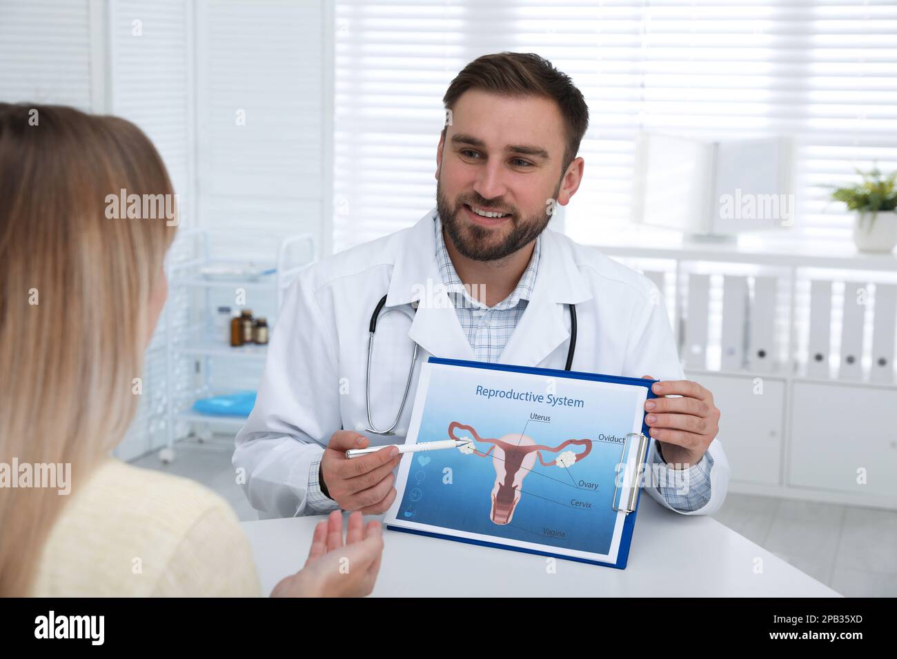 Gynecologist showing illustration of female reproductive system to ...