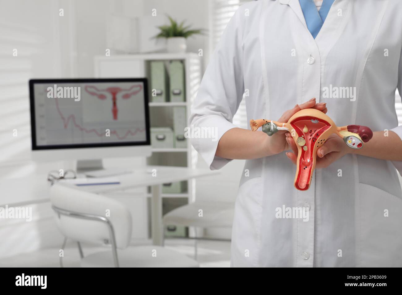 Gynecologist demonstrating model of female reproductive system in ...
