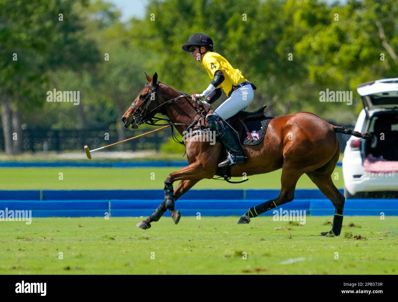 Sarah gallop hi-res stock photography and images - Alamy