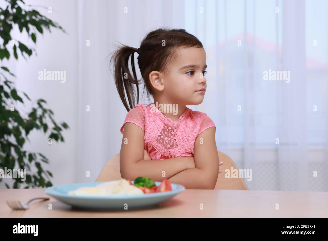 Refusing to eat meat hi-res stock photography and images - Alamy