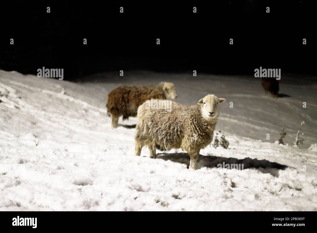 Farmming industry hi-res stock photography and images - Alamy