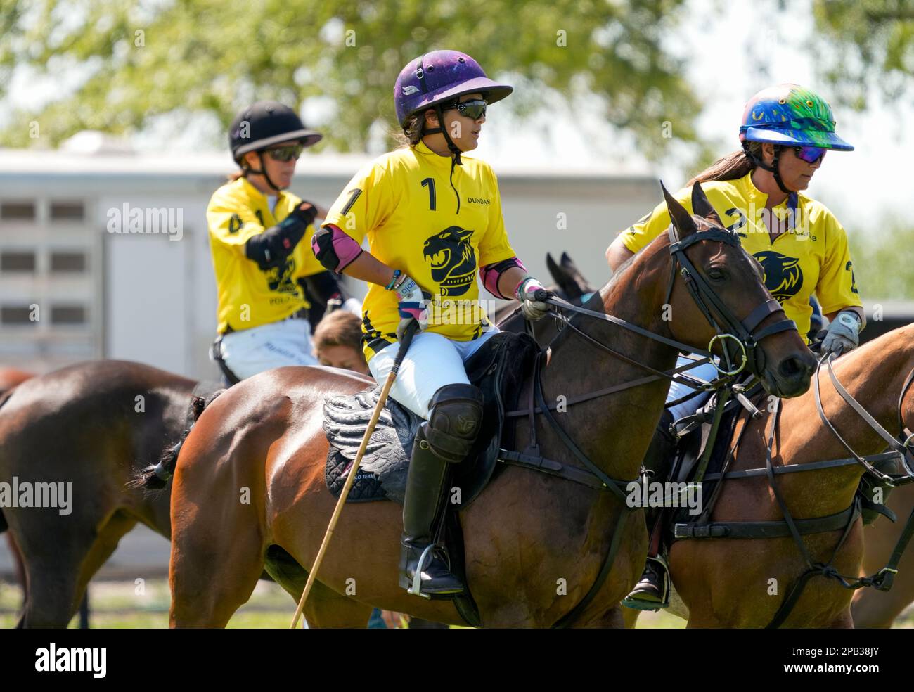 Dundas polo team hi-res stock photography and images - Alamy