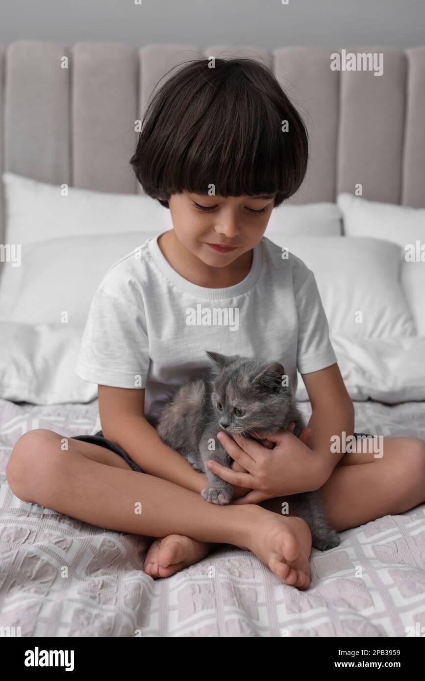 Cute little boy with kitten on bed. Childhood pet Stock Photo - Alamy