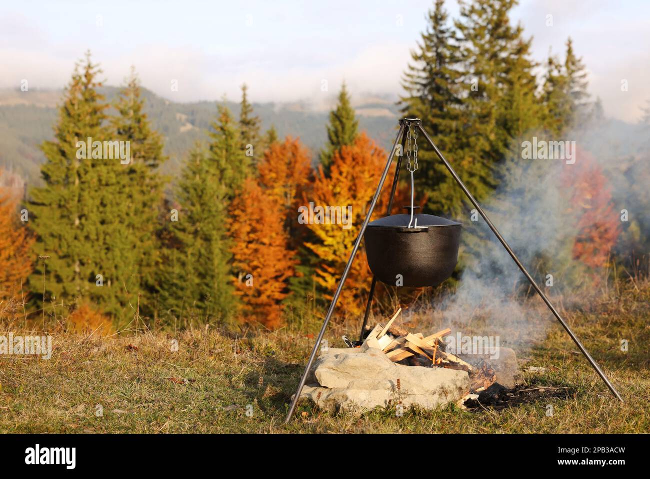 Cooking food on campfire near forest. Camping season Stock Photo - Alamy