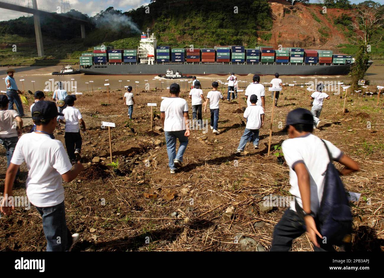 School children walk were they planted trees near the Panama Canal waterway, background, in ...