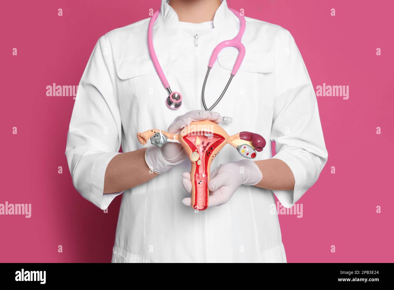 Doctor demonstrating model of female reproductive system on pink ...