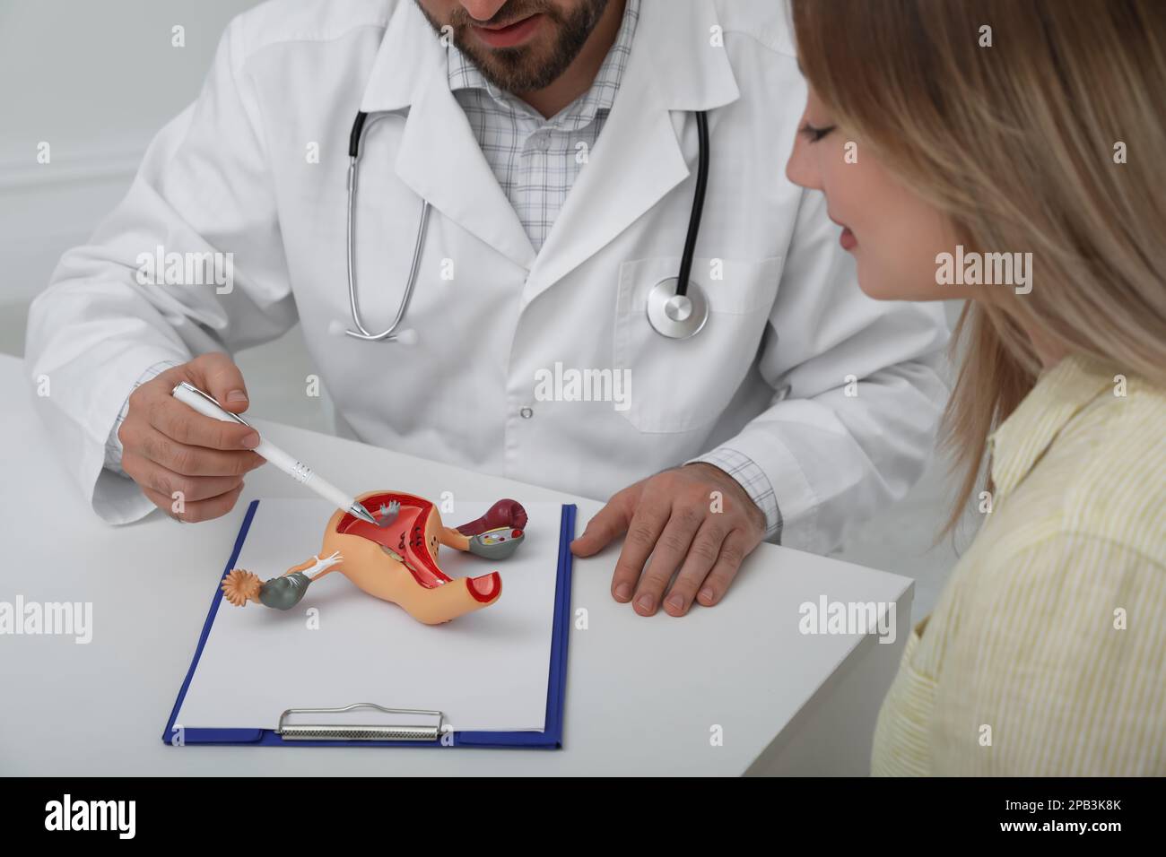 Gynecologist demonstrating model of female reproductive system to young ...