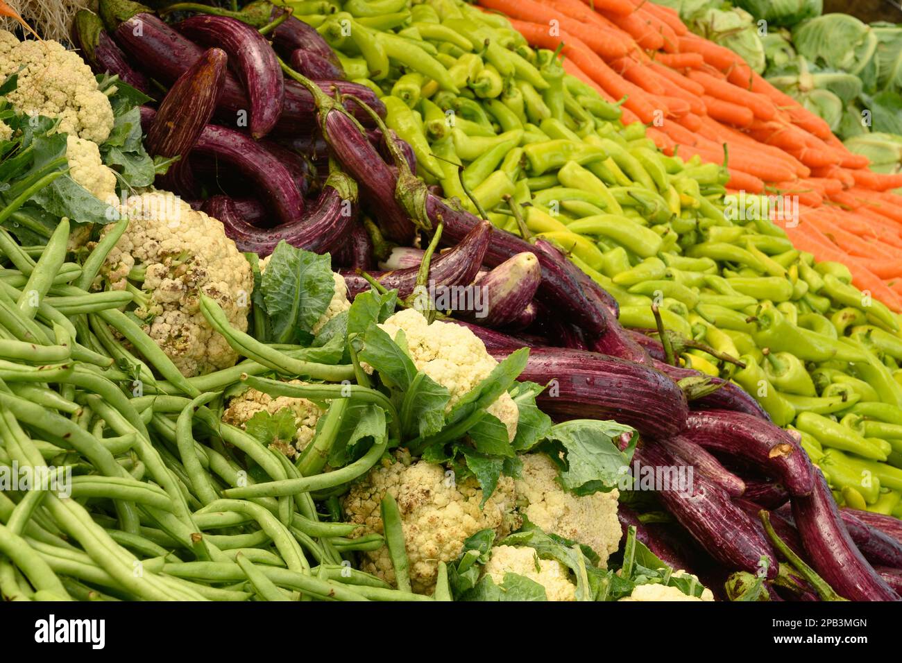 Different Asian vegetables on shelves of outdoor food market. Fresh ...