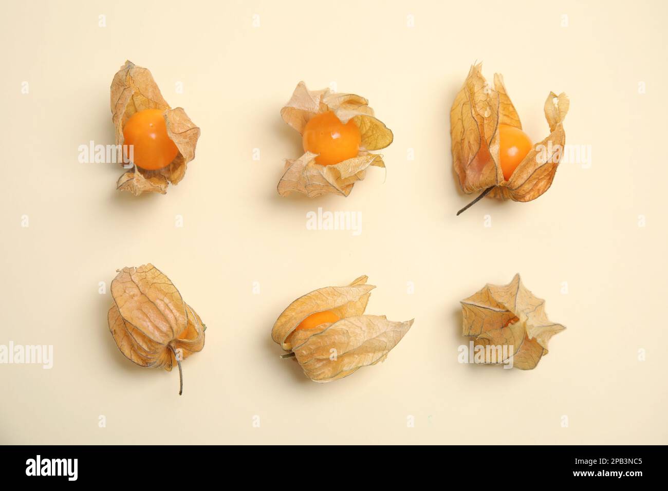 Ripe physalis fruits with dry husk on beige background, flat lay Stock ...
