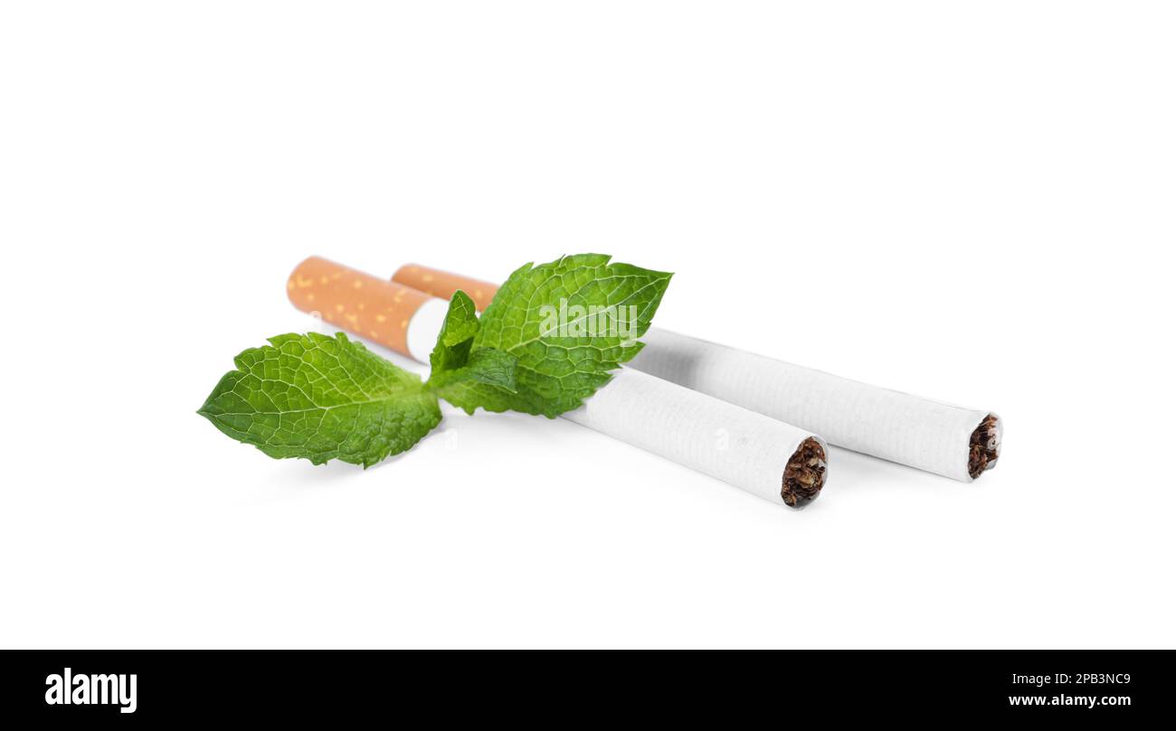 Menthol cigarettes and fresh mint leaves on white background Stock ...