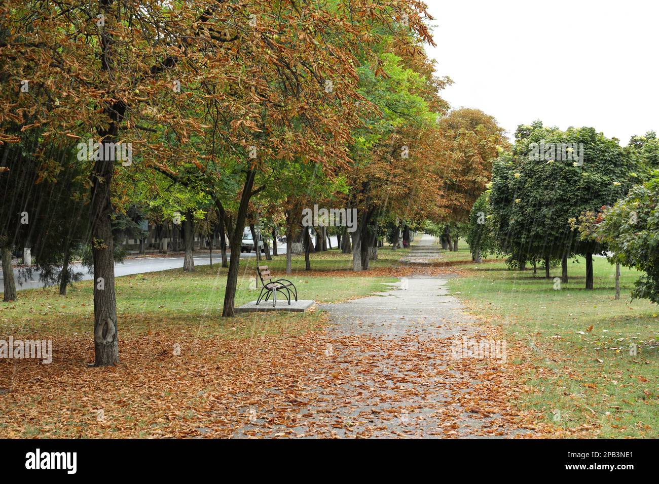Raining on pathway hi-res stock photography and images - Alamy