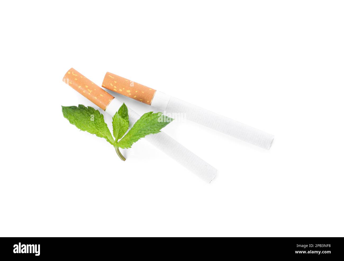Menthol cigarettes and fresh mint leaves on white background, flat lay ...