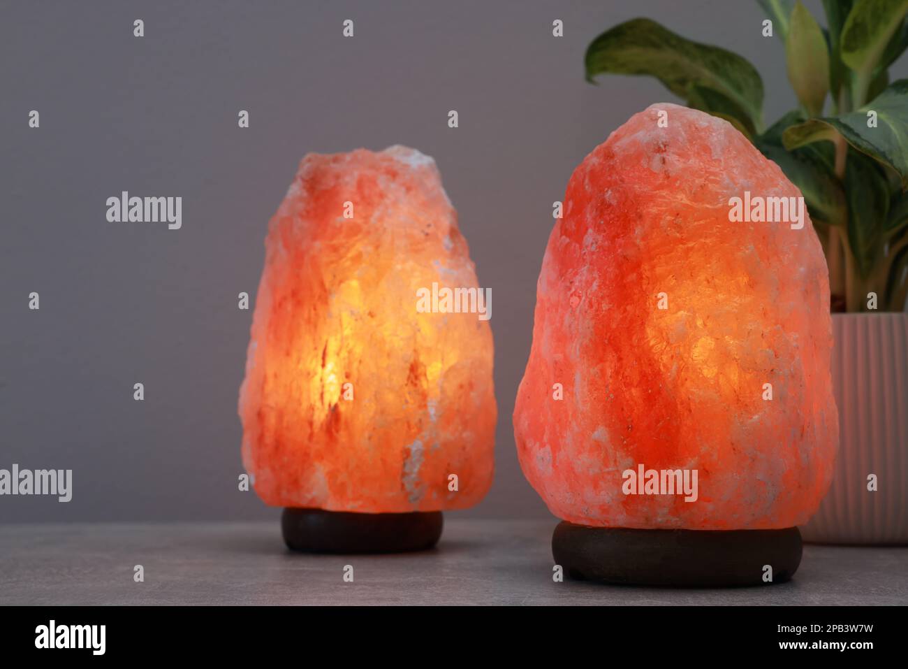 Himalayan salt lamps and houseplant on stone table near light grey wall ...