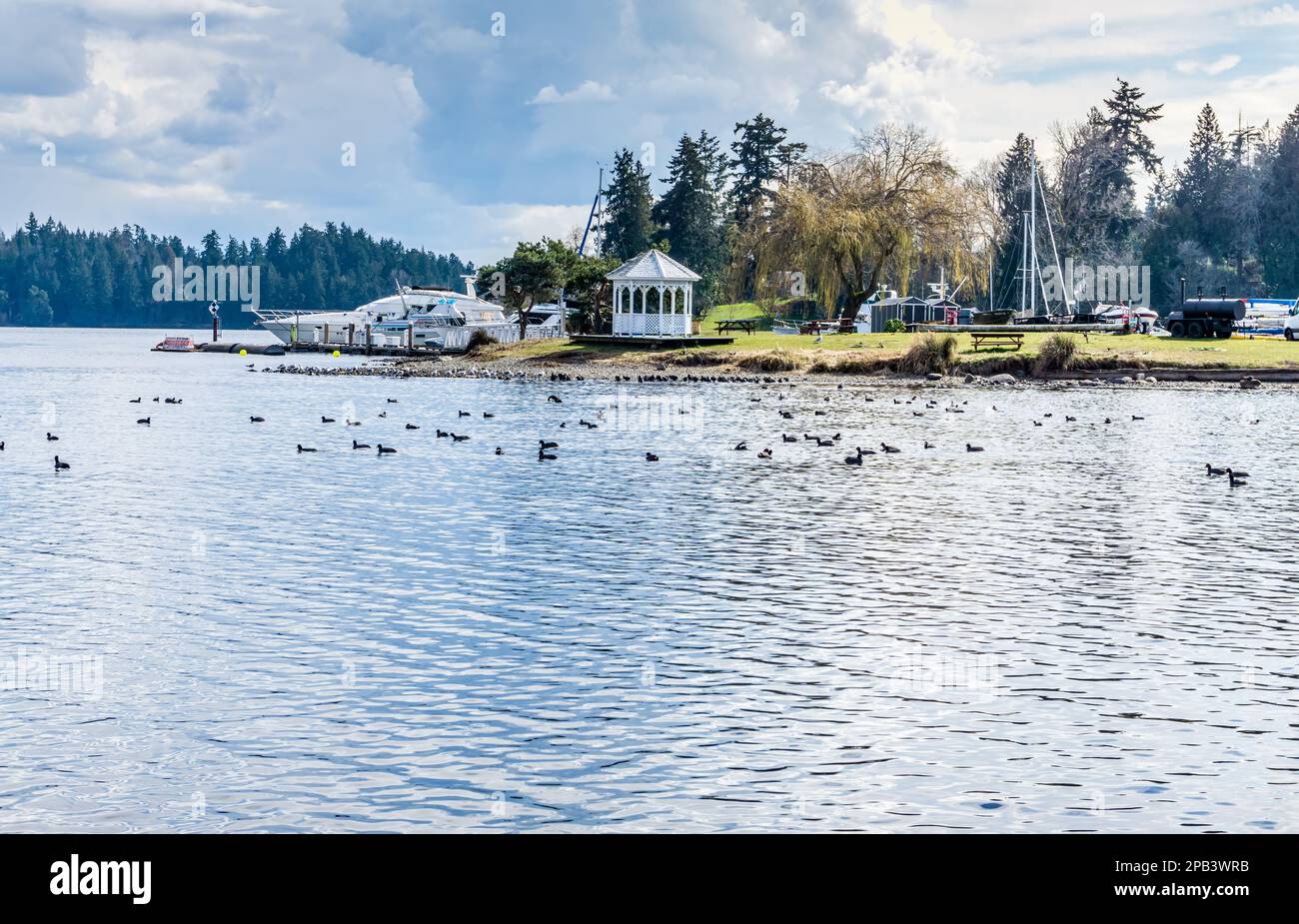A boat along the shore of Lake Washington in Seattle, Washington Stock ...