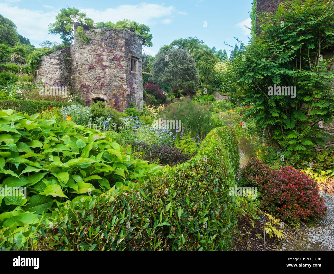 Early summer view in the walled garden at The Garden House, Buckland ...