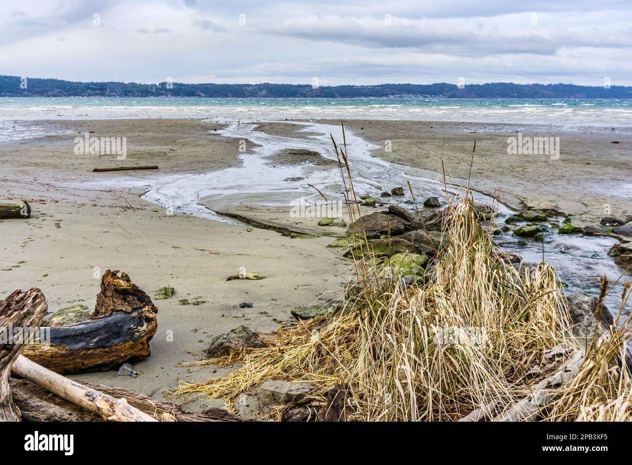 A stream flows into the Puget Sound at Dash Point State Park in ...