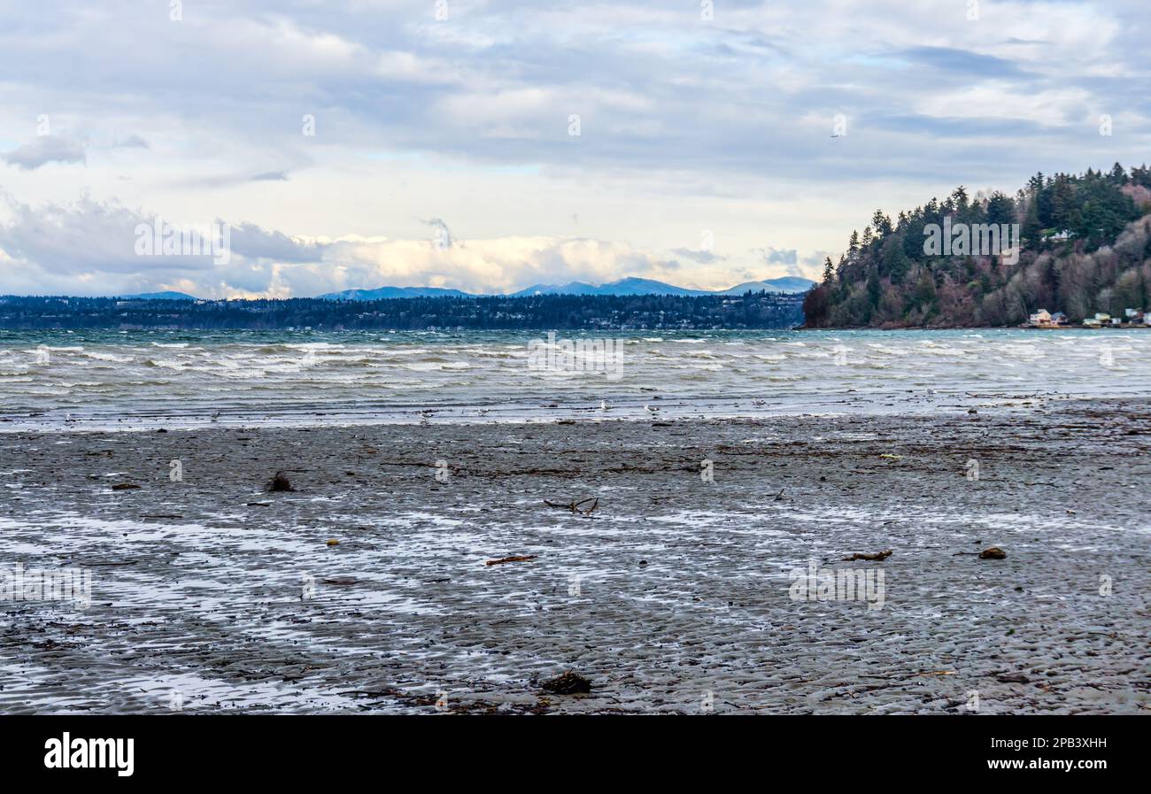 A view of the Puget Sound shoreline on a windy day at Dash Point State ...